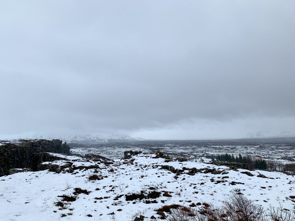 48 Hours in Iceland – Shelf Quest